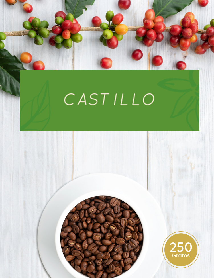 Tierra Sublime Coffee - Castillo Coffee Bean